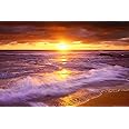Amazon.com: AllPosters Wall Poster Sunset Cliffs Beach, San Diego ...