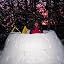 Amazon.com : Icebox Igloo Maker : Igloo Block Maker : Sports & Outdoors