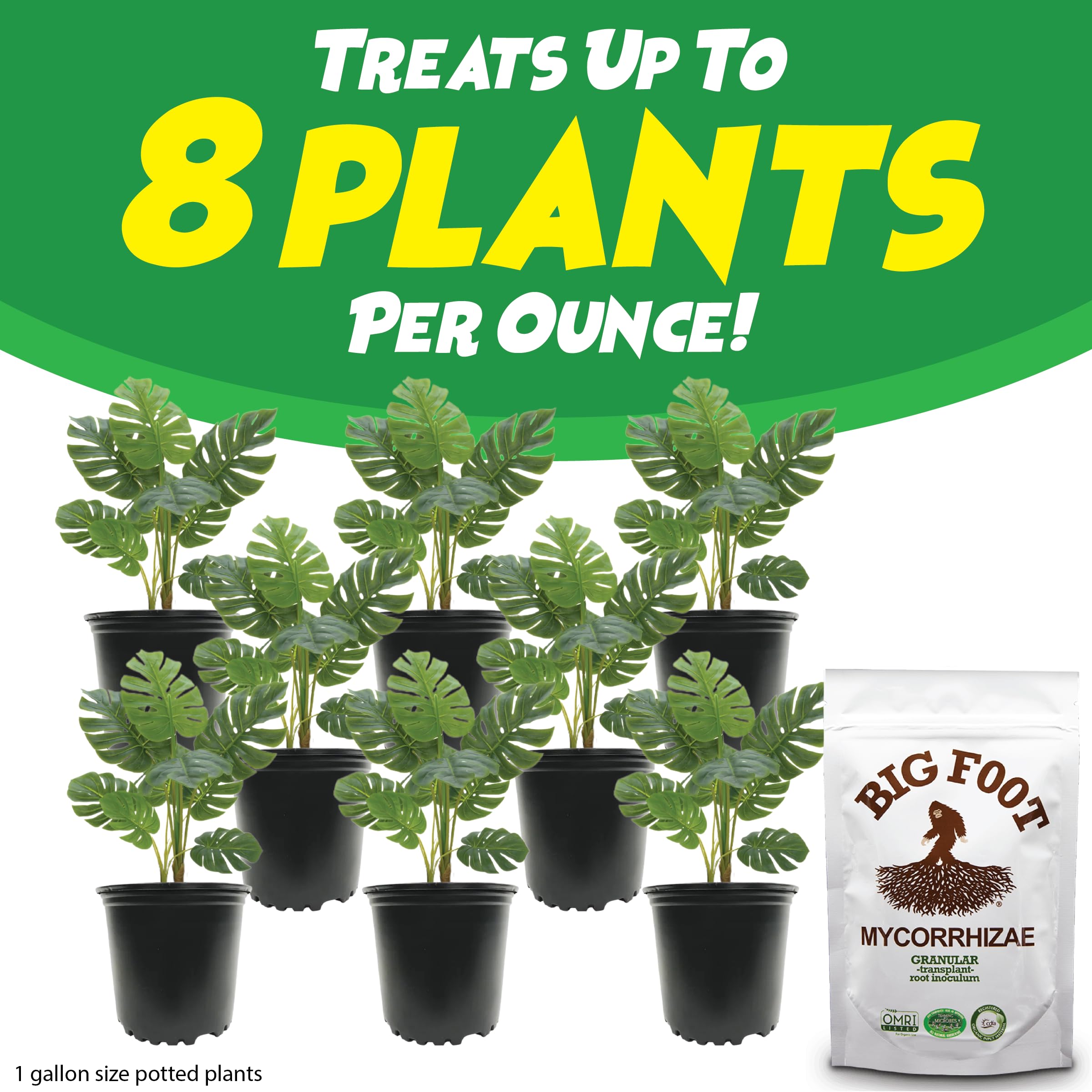 Mua Big Foot Mycorrhizal Fungi Granular for Transplants - for All ...