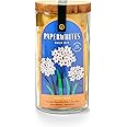 Amazon.com: Modern Sprout Winter Bulb Kit, Paperwhite : Patio, Lawn ...