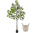 Amazon.com: Warmplants Artificial Lemon Tree, 5ft Tall Fake Lemon Silk ...