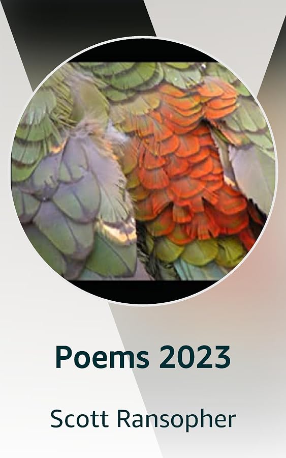 Poems 2023 | Kindle Vella