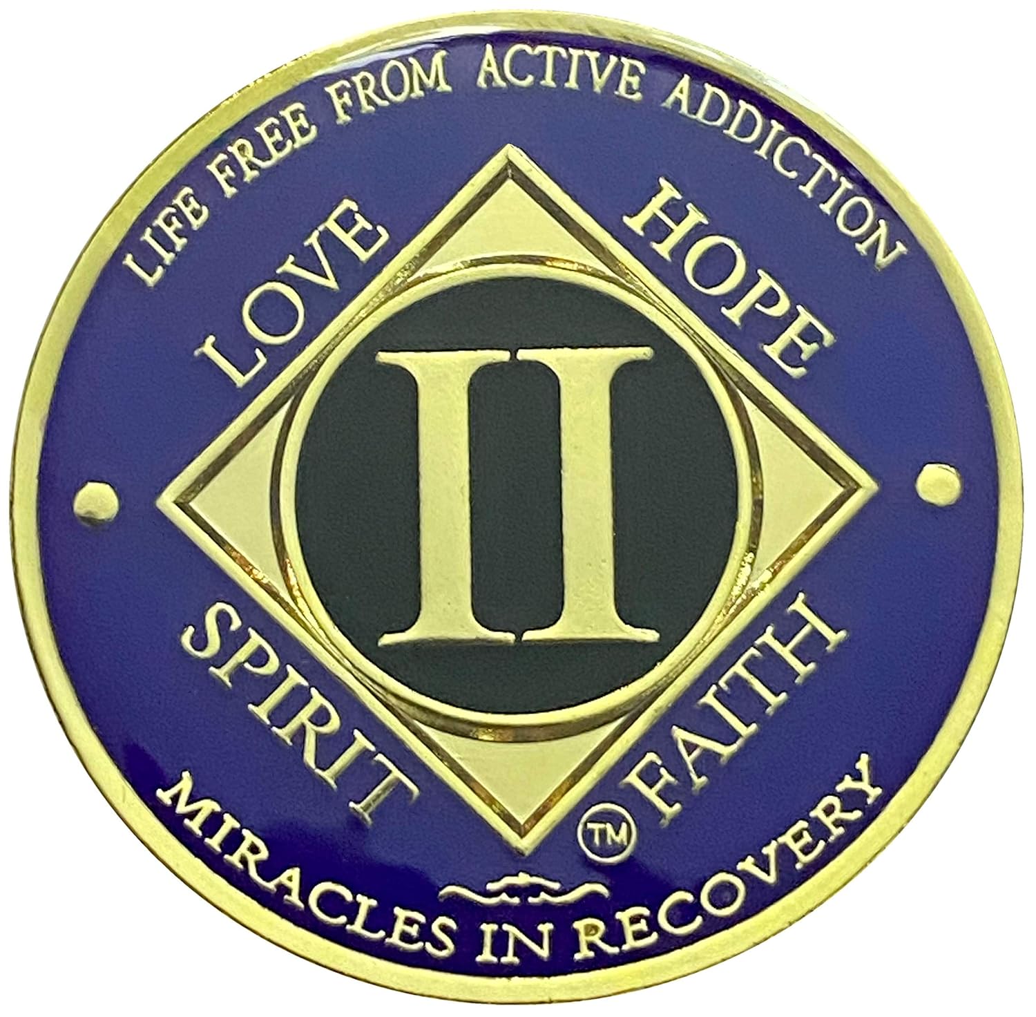 Amazon.com: 2 Year NA Coin Gold Color Plated-Medallion, Recovery Chip ...