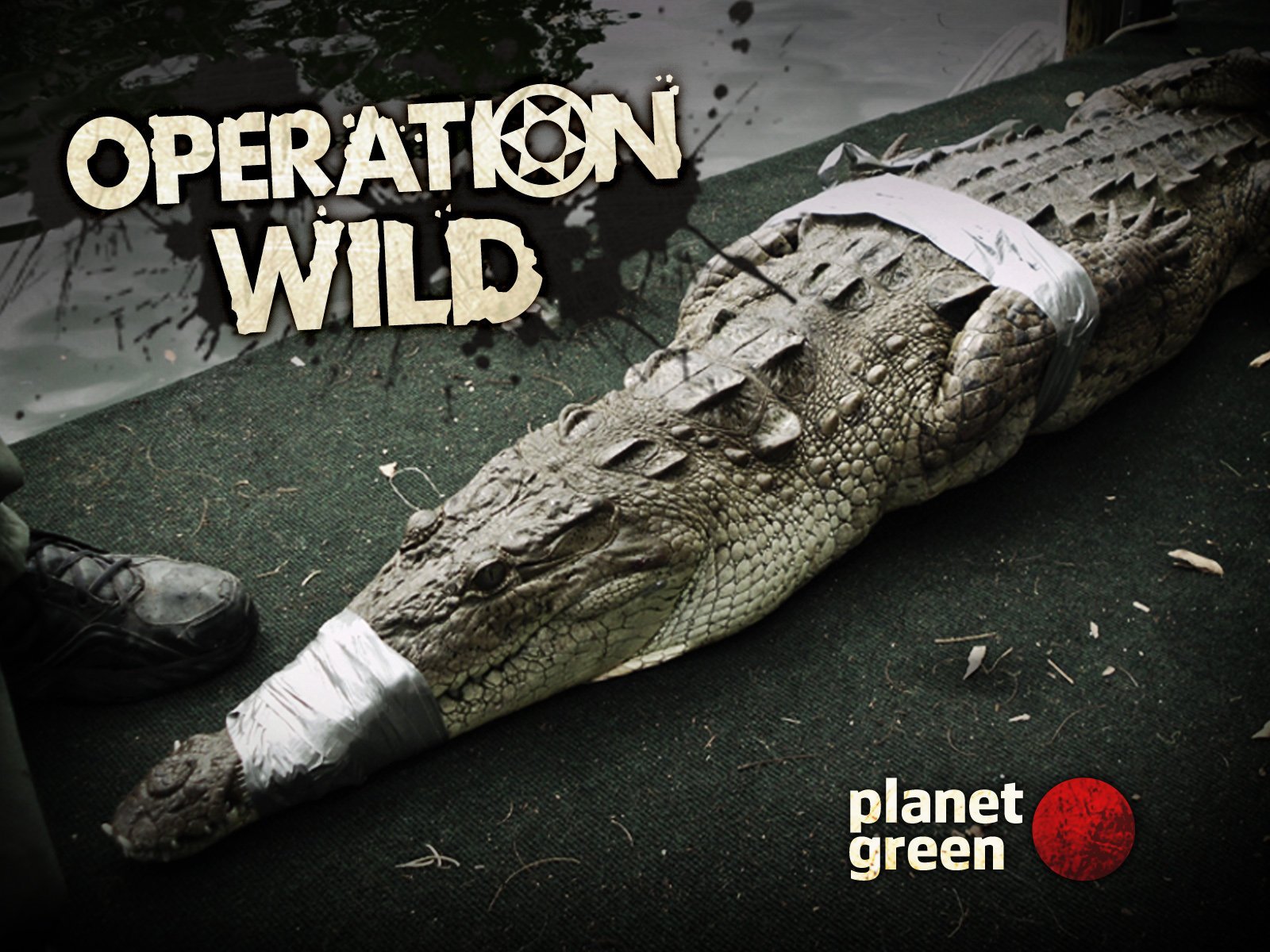 Watch Operation Wild Season 2 | Prime Video