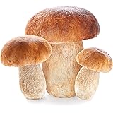 Joseph's Gourmet Pasta Porcini Mushroom Sacchetti 3 lb (Pack of 2 ...