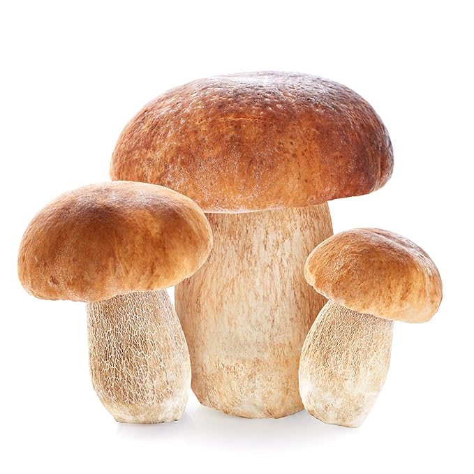 Whole Porcini Italian Mushrooms Frozen - 2.2 lbs.: Amazon.com: Grocery ...