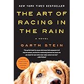 Racing in the Rain: My Life as a Dog: Stein, Garth: 8580001060941 ...