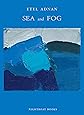 Sea & Fog (Lambda Literary Award - Lesbian Poetry): Adnan, Etel: 9780984459872: Amazon.com: Books