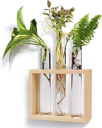 Wall Hanging Test Tube Planter - 3 + 1 Glass Tubes (17.2x2.5cm) with ...
