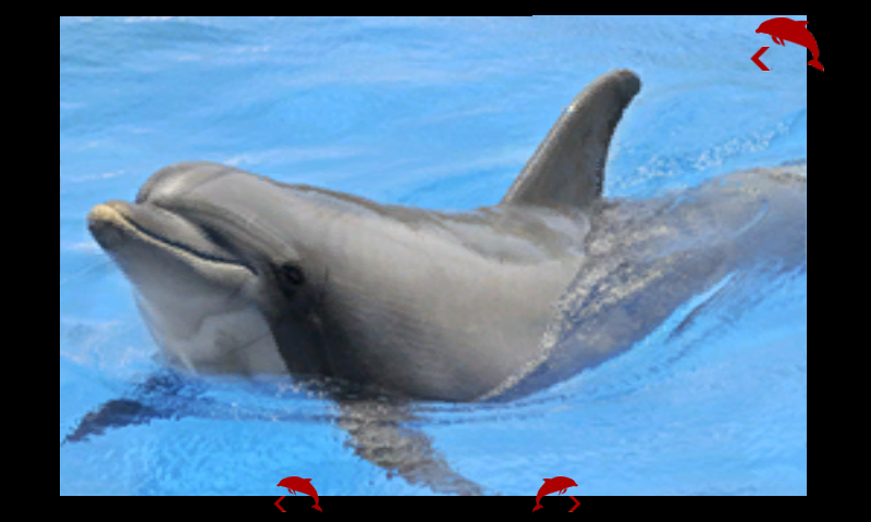 Dolphin bowling for kids:Amazon.com:Appstore for Android