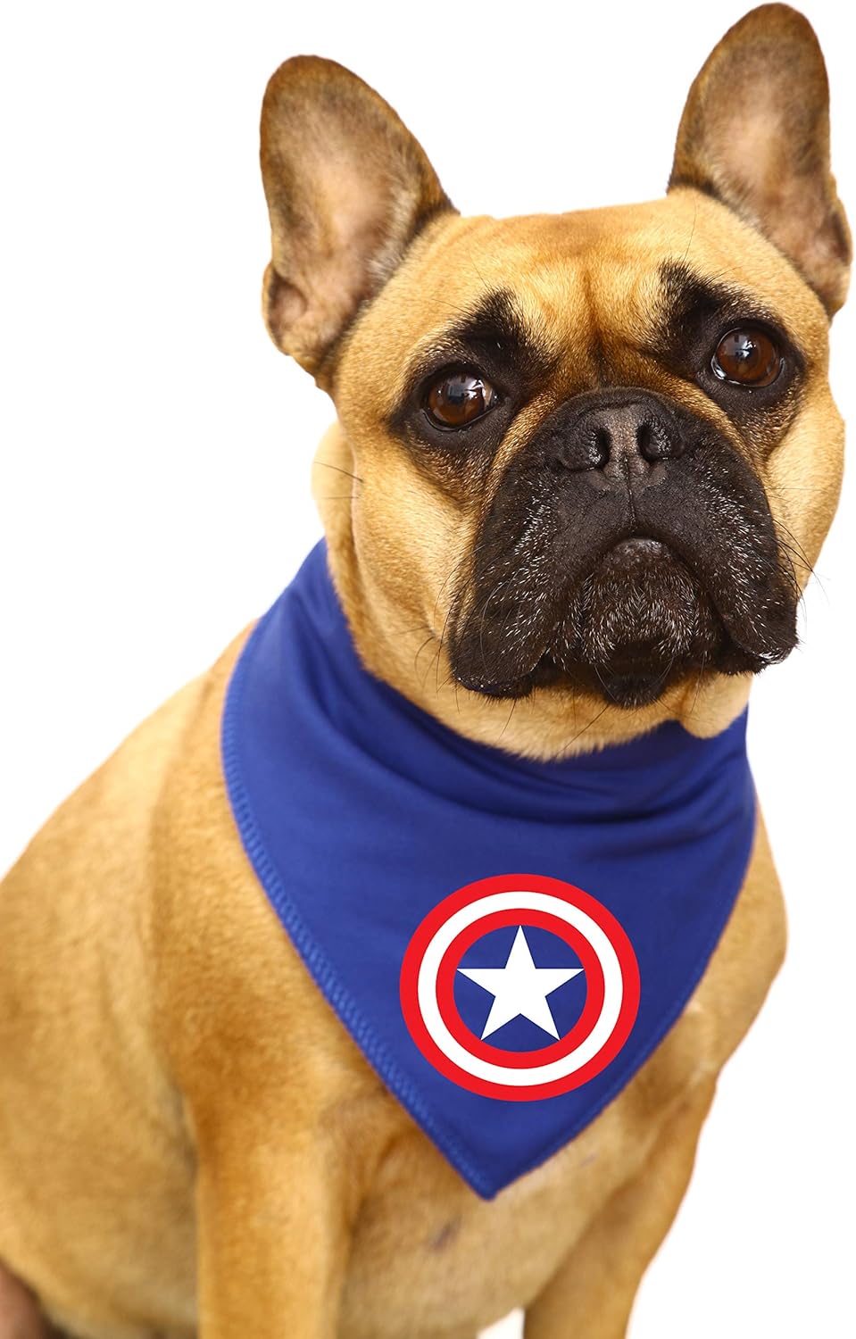 Spoilt Rotten Pets S2 Captain America Avengers Dog Bandana Fancy Dress ...