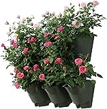 Wonderwall Self Watering Vertical 3 Pocket Garden Wall Planter Outdoor ...