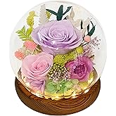 Amazon.com: Valley of Rain & Forest Long-Lasting Real Flowers, Unique ...