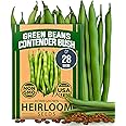 Amazon.com : HOME GROWN Contender Bush Bean Pack - 28 𝗡𝗢𝗡-𝗚𝗠𝗢 𝗨𝗦𝗔 ...