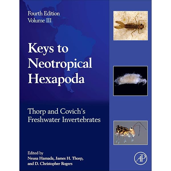 Microscopic Anatomy Of Invertebrates 42 Invertebrates Ideas
