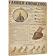 Amazon.com: HYBLOM Farrier Knowledge Horse Hoof Anatomy Tin Sign ...