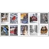 Amazon.com: Songbirds in Snow Forever First Class USPS Postage Stamps ...