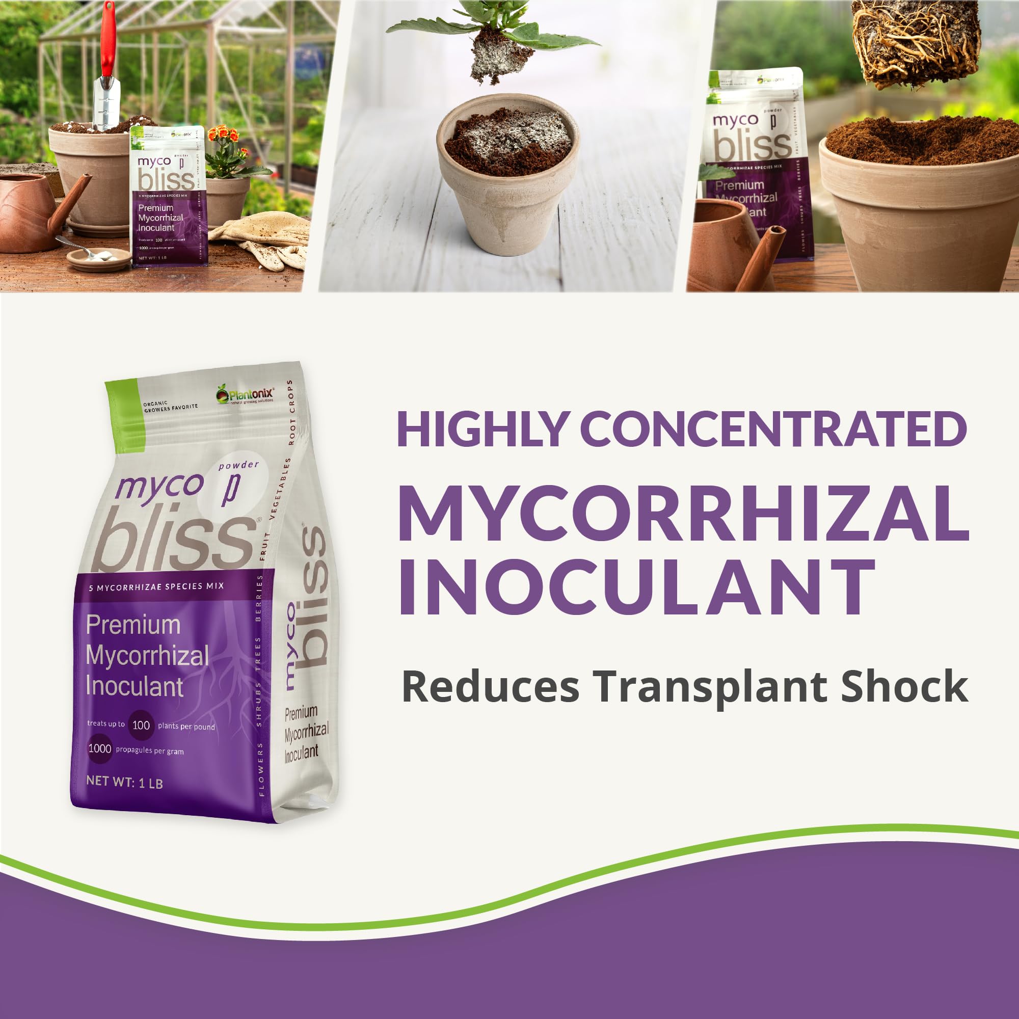 Mua Myco Bliss Powder (1lb) - Mycorrhizal Soil Inoculant for Plants ...