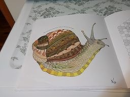 Animal Kingdom: Color Me, Draw Me: Amazon.ca: Millie Marotta: Books