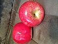 Amazon.com: 12pcs Decorative Large Artificial Red Apple Plastic Fruits ...