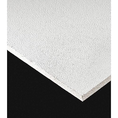 Armstrong Ceiling Tiles; 2x2 Ceiling Tiles - 16 pc White; Acoustic ...