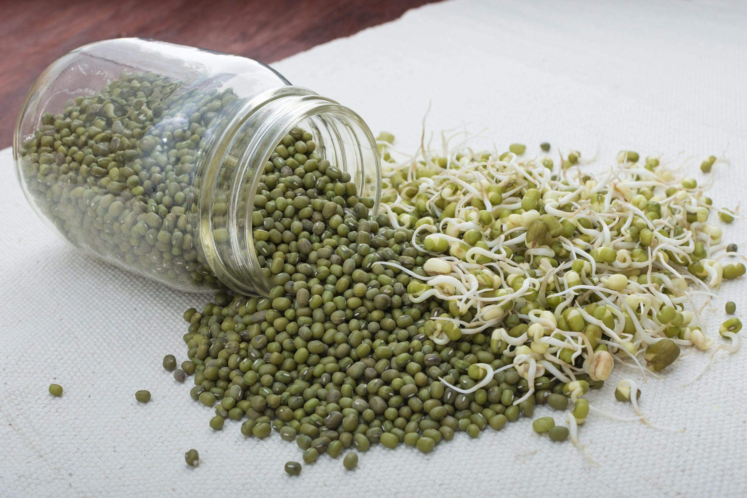 Mua Food to Live Organic Mung Beans, 8 Ounces – Non-GMO, Whole Dried ...