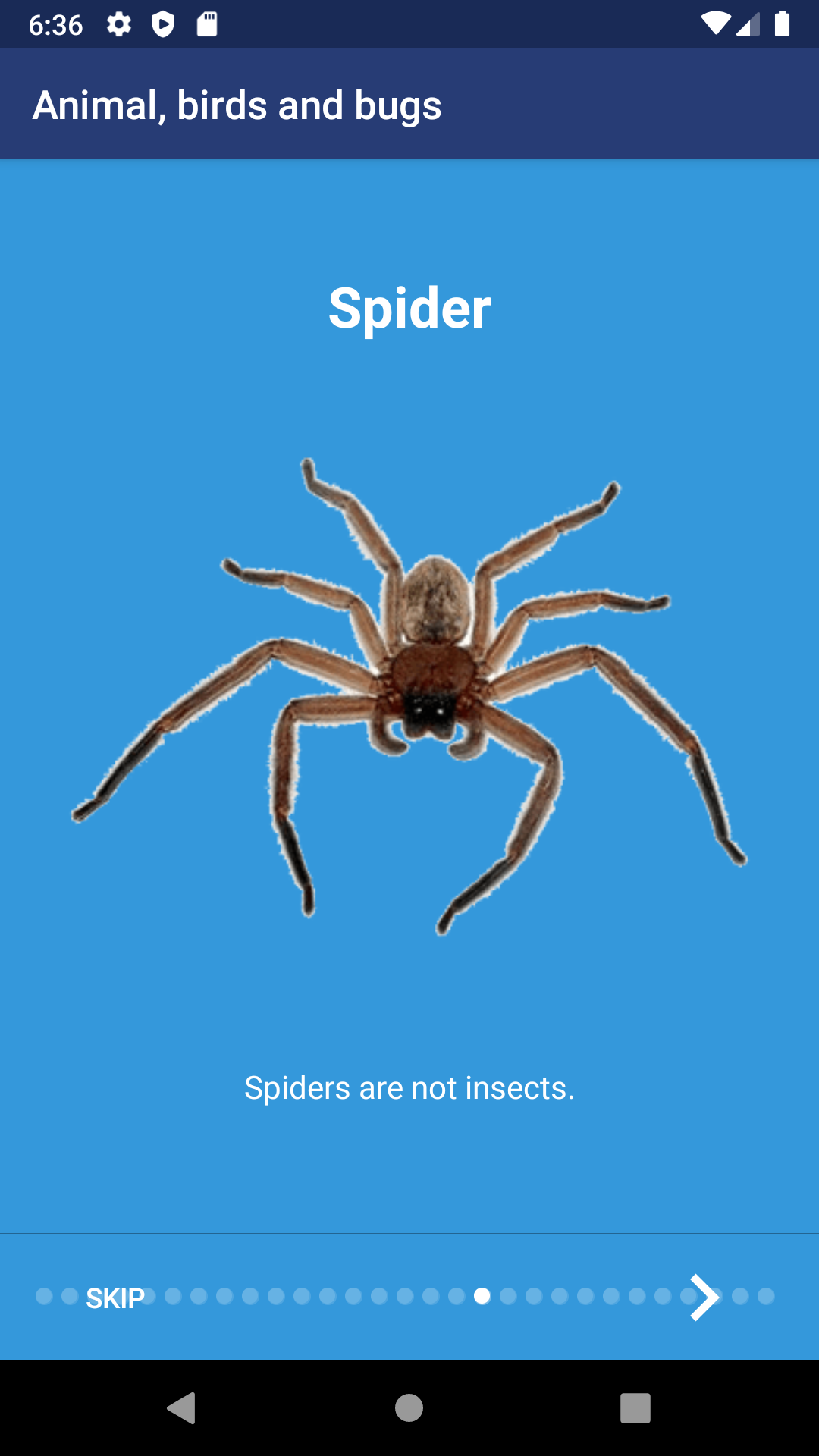 Animals, Birds and Bugs Introduction | Spelling sound and vocabulary of ...