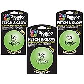 Fetch & Glow Ball Large : Amazon.ca: Pet Supplies