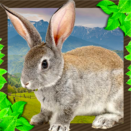 Crazy Bunny Simulator 3D:Amazon.com:Appstore for Android