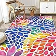 Amazon.com: Abstract Rainbow 3x5 Entryway Rugs Colorful Dahlia Floral ...