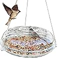 Amazon.com : No Seed Mess Bird Feeder Clear Acrylic Bird Seeder ...