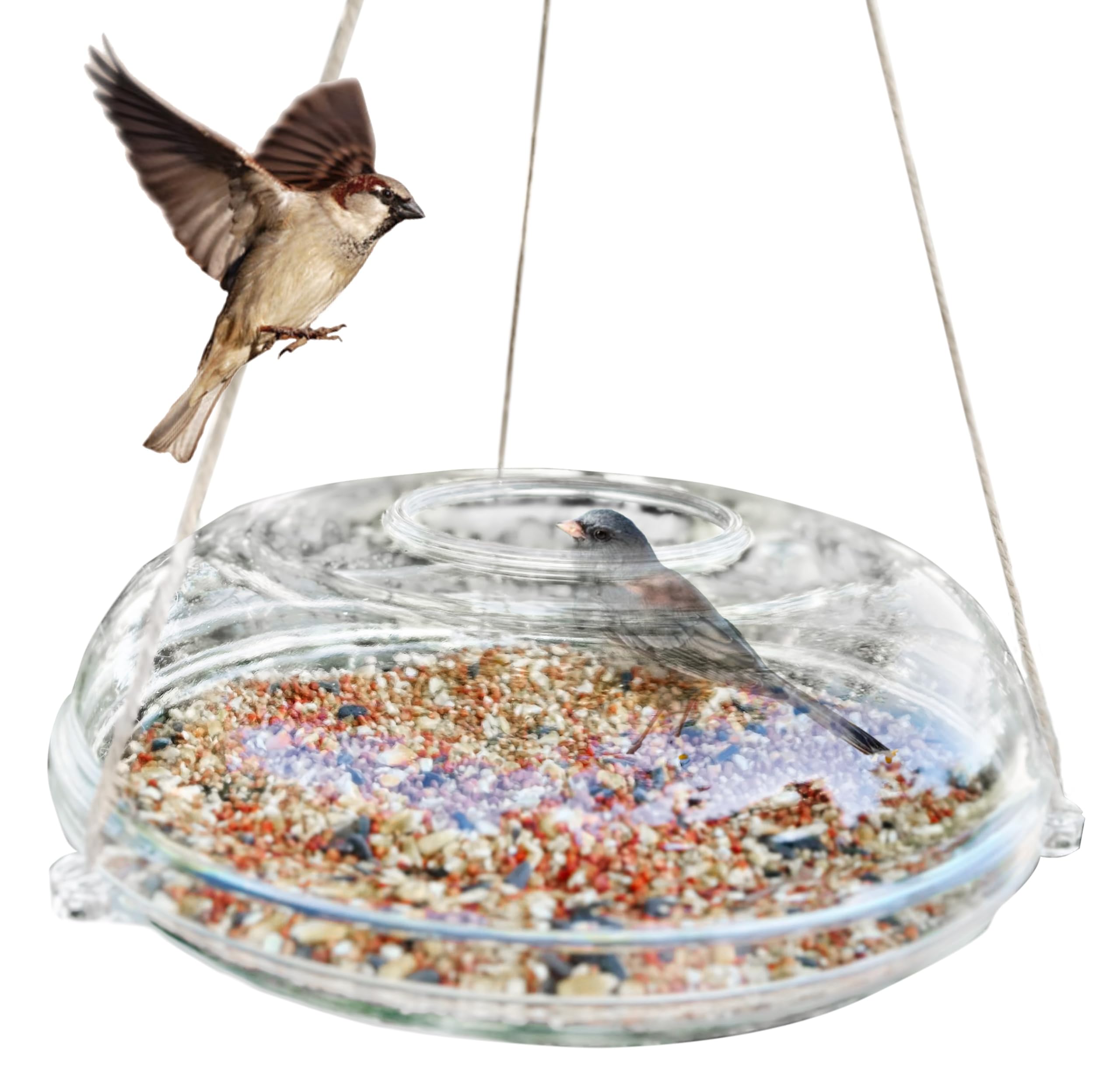 No Seed Mess Bird Feeder Clear Acrylic Bird Seeder, Quackups® Bird Seed ...