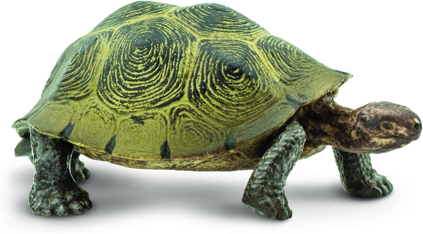 Amazon.com: Safari Ltd Wild Safari North American Wildlife – Desert ...