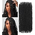 Amazon.com : Afro Kinky Bulk Human Hair for Braiding – 20 Inch, Double ...