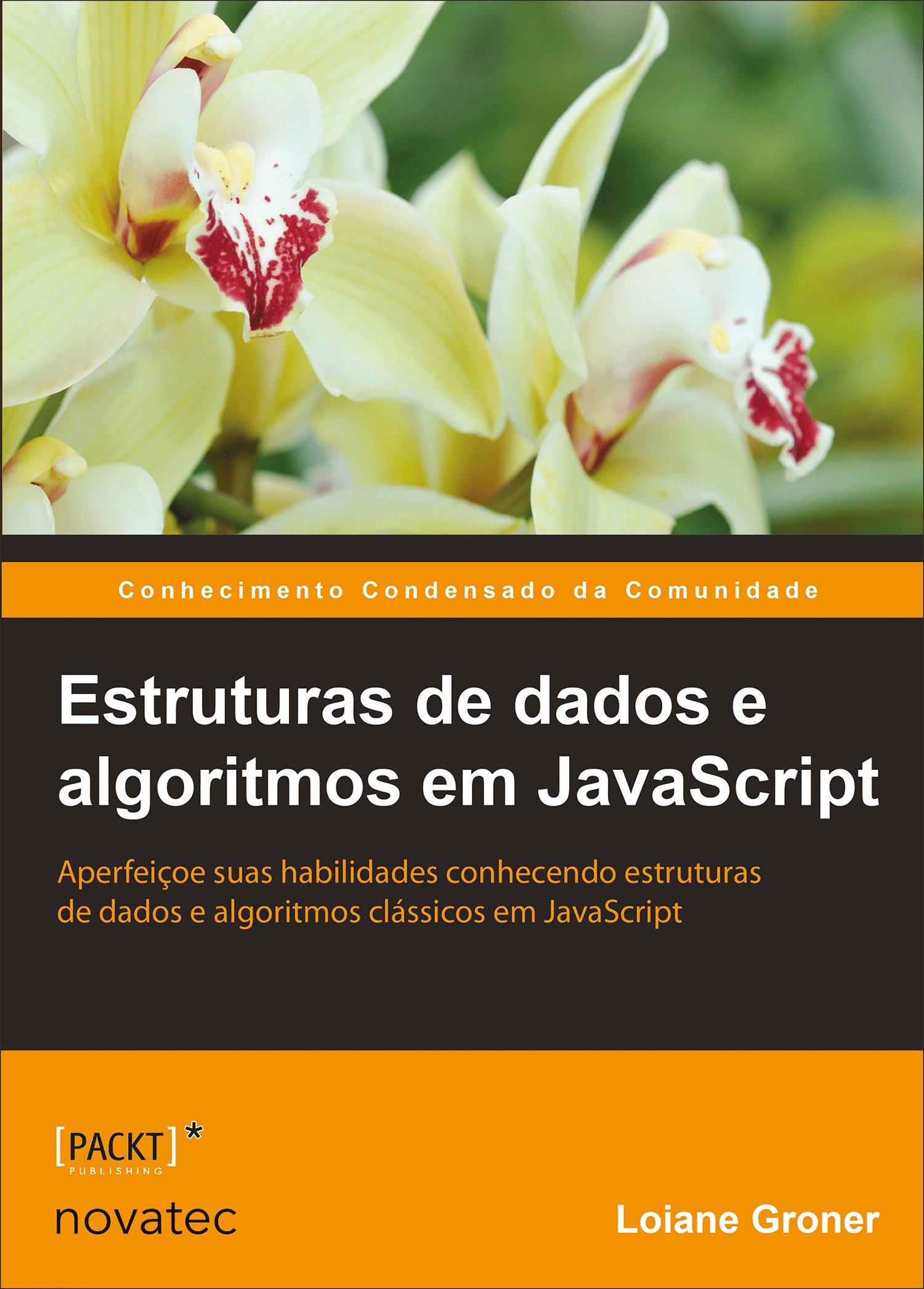 Estruturas de Dados e Algoritmos em Javascript. Aperfeiçoe Suas ...