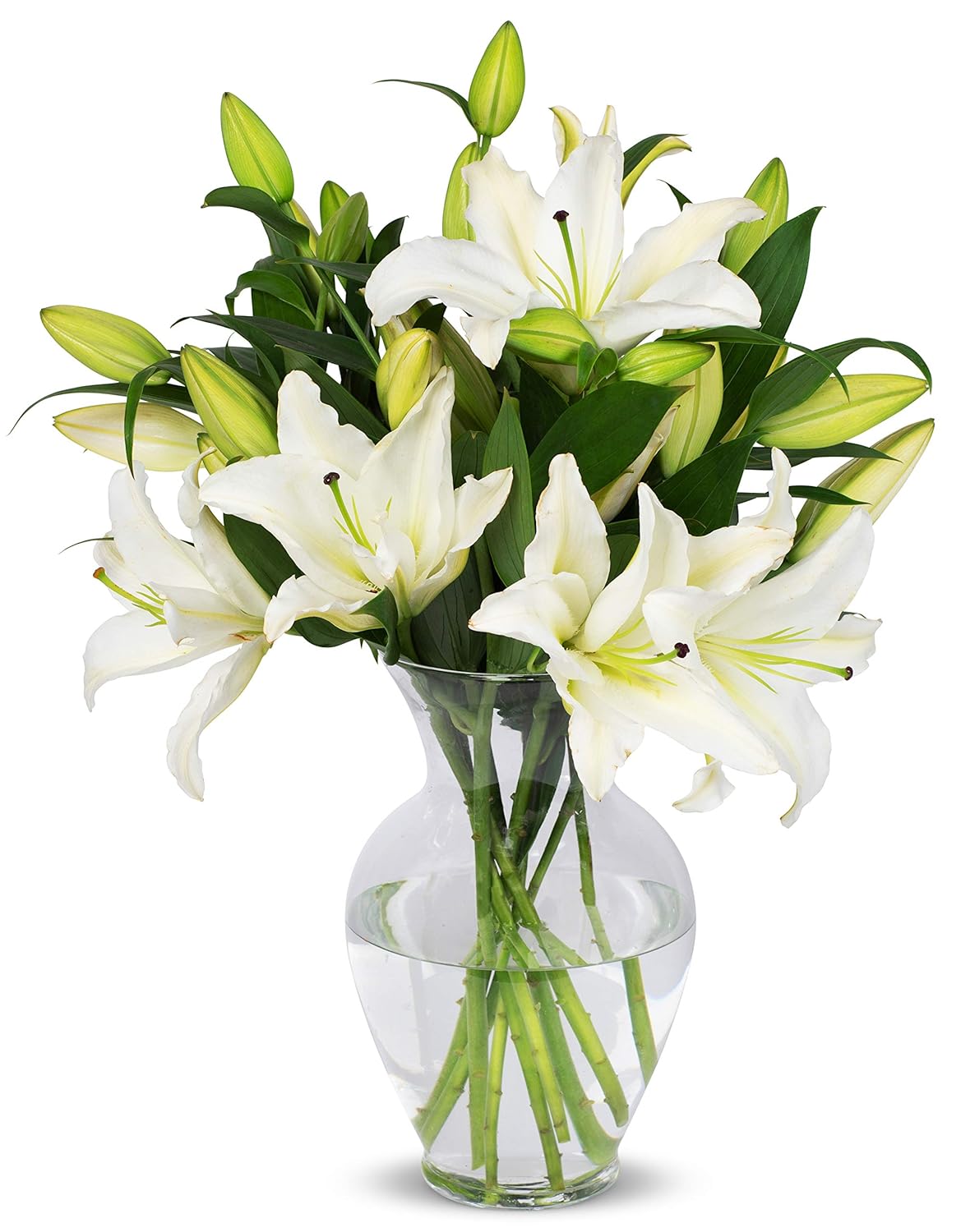 Benchmark Bouquets 8 Stem White Lily Bunch, With Vase (Fresh Cut ...