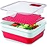 Amazon.com: Cool Gear Collapsible Salad Storage Kit: Food Savers ...