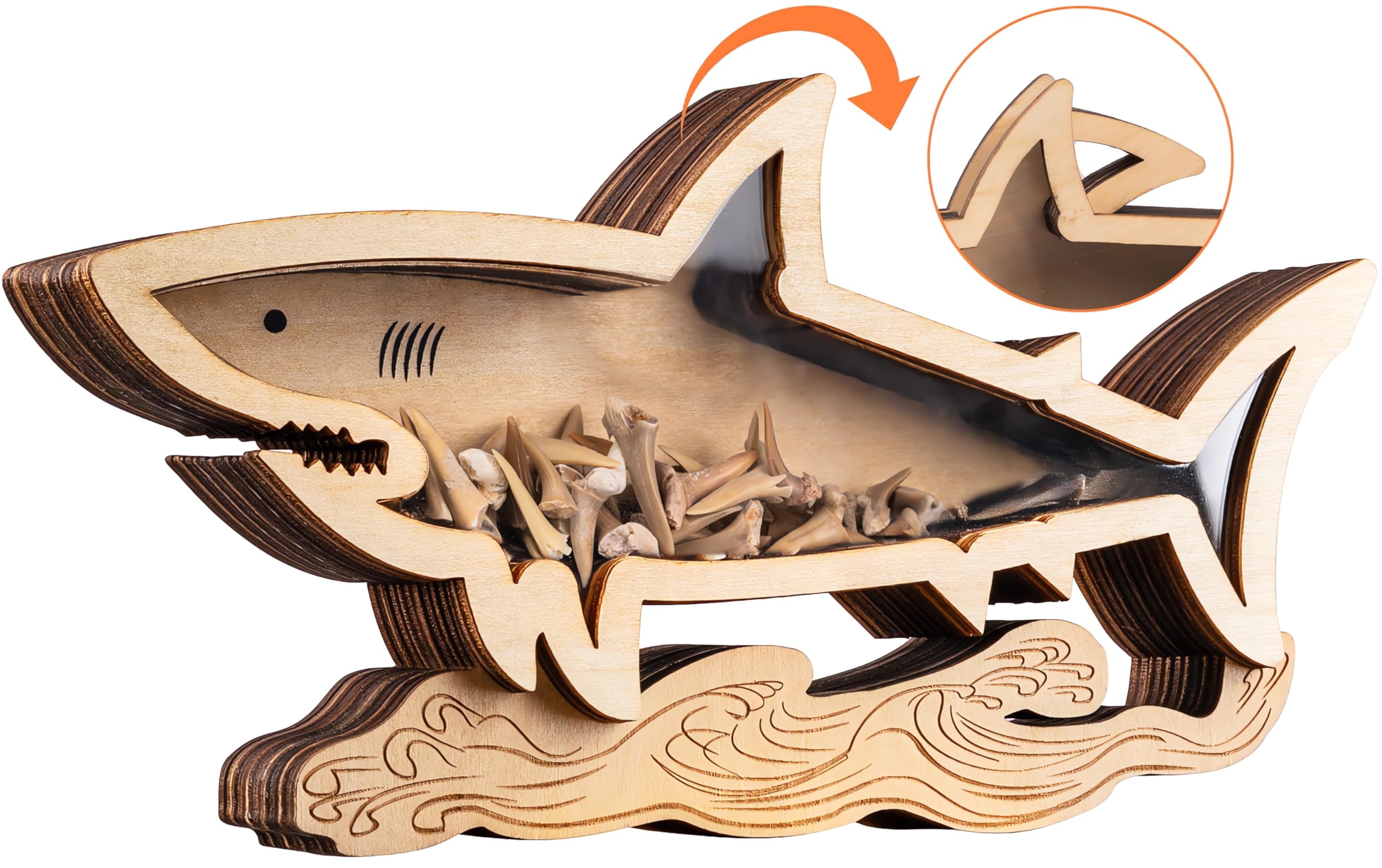 Shark Tooth Display Case 8.7 Inch,Wooden Shark Tooth Holder,Wood Shark ...