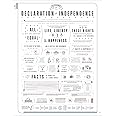 Amazon.com: Pop Chart | Diagrammed Declaration of Independence | 16" x ...