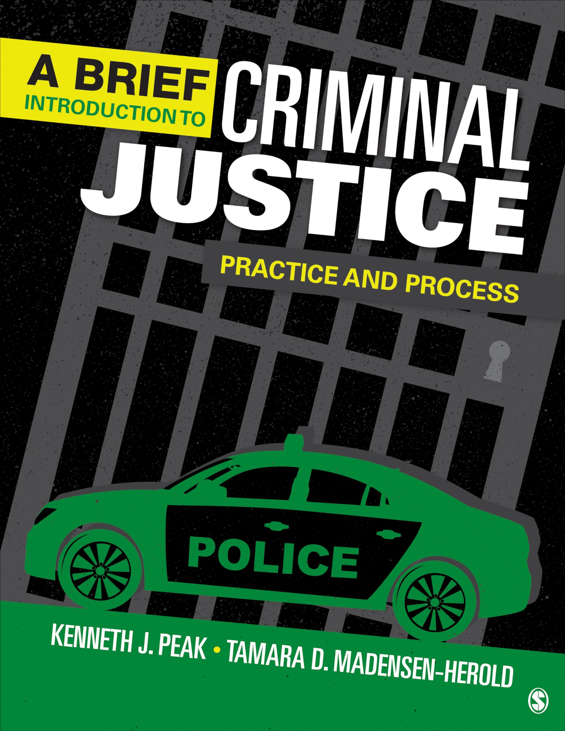 Mua A Brief Introduction to Criminal Justice: Practice and Process trên Amazon Mỹ chính hãng ...