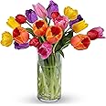 Amazon.com : BENCHMARK BOUQUETS - 20 Stem Rainbow Tulips Bouquet, Prime Delivery, Free Vase ...