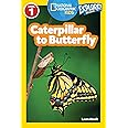 Amazon.com: National Geographic Readers: Caterpillar to Butterfly ...