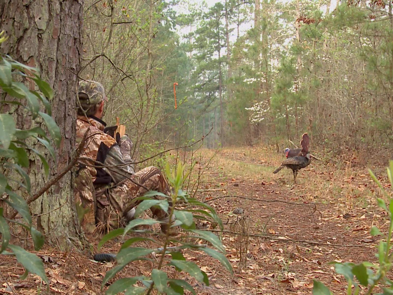Watch Realtree Outdoors - Season 5 | Prime Video