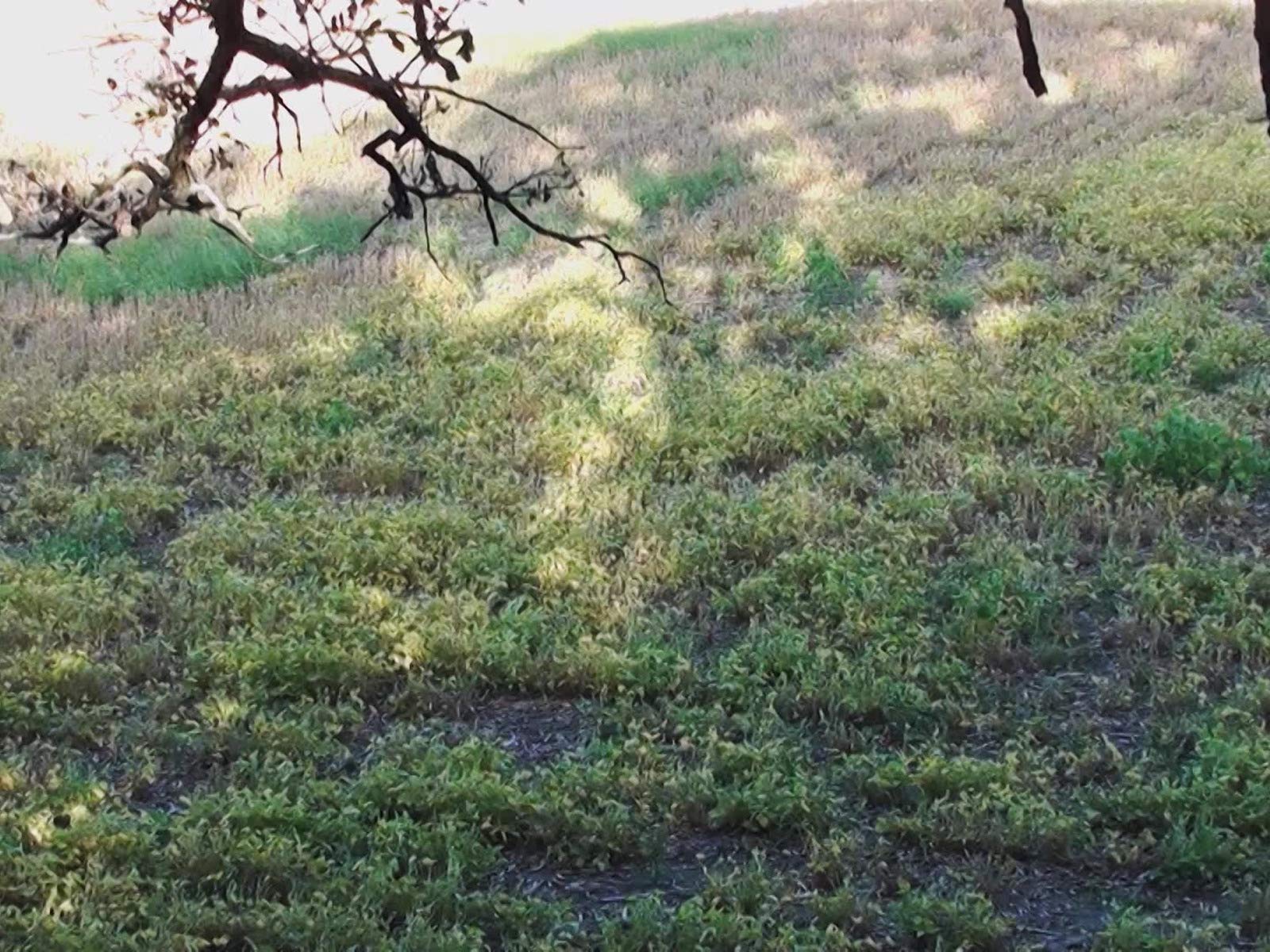 Watch Red Rising TV - Season 1 | Prime Video