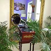 Amazon.com: Pyle PUNP32BT Vintage Retro Classic Style Bluetooth ...