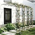 Amazon.com : Generic 1 Set Outdoor Steel Arch Arbor, Half Arch, 7.9Feet ...