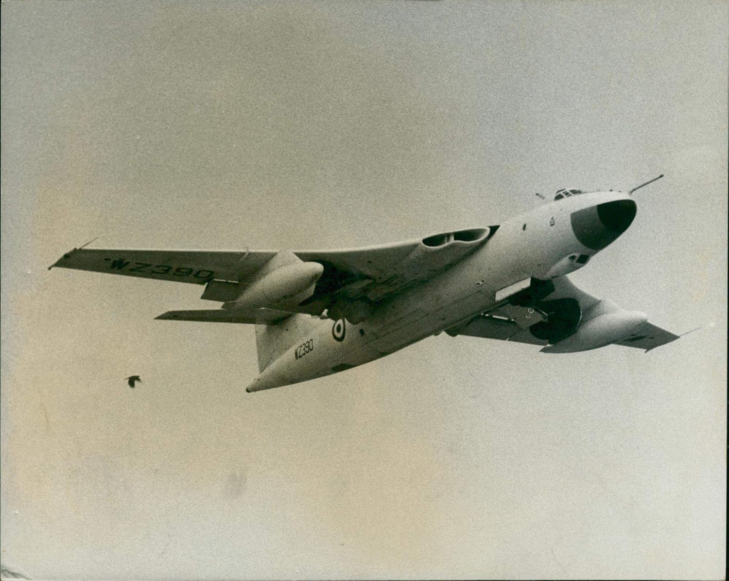 Can we please stop hotlinking pics?-Page 4071| Off-Topic Discussion forum