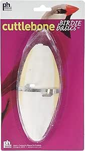 Amazon.com : Prevue Pet Products Cuttlebone Large 8-10 Inch Single ...