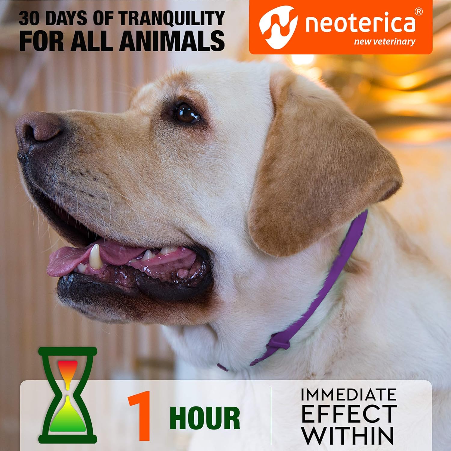 Relaxivet Calming Collar for Dogs | Improved DE-Stress Formula ...