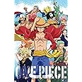 Amazon.com: Trends International One Piece - Crew Wall Poster, 22.37" x ...